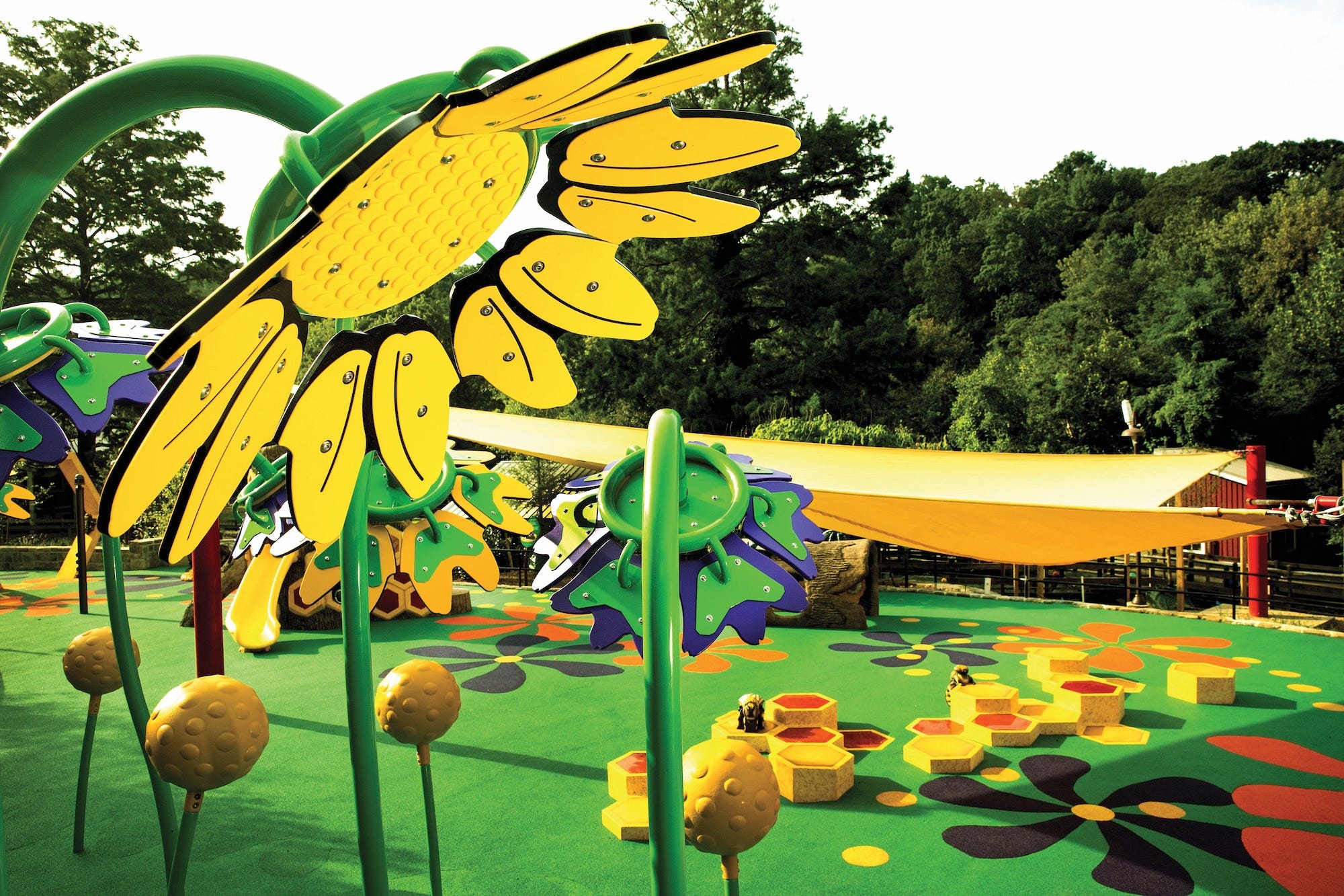 Creating a Buzz About Play