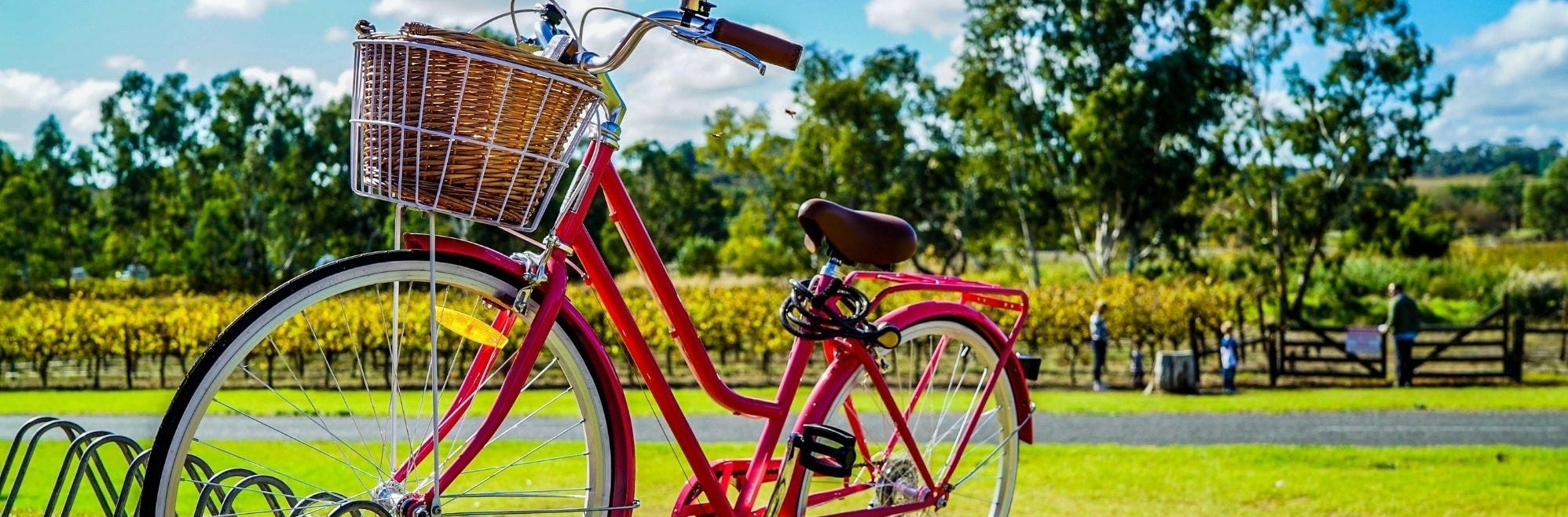 Programming Your Parks to Meet Community Needs