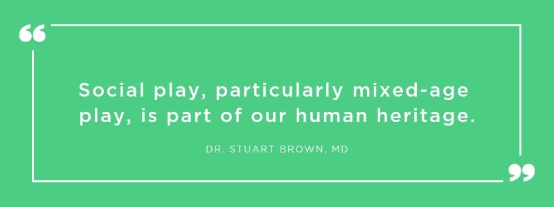 Dr. Stuart Brown on the Science of Expression Swing